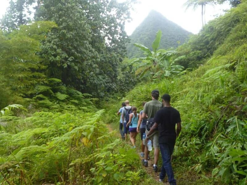 St. Lucia: Gros Piton Hike with Transportation - Practical Details and What to Expect