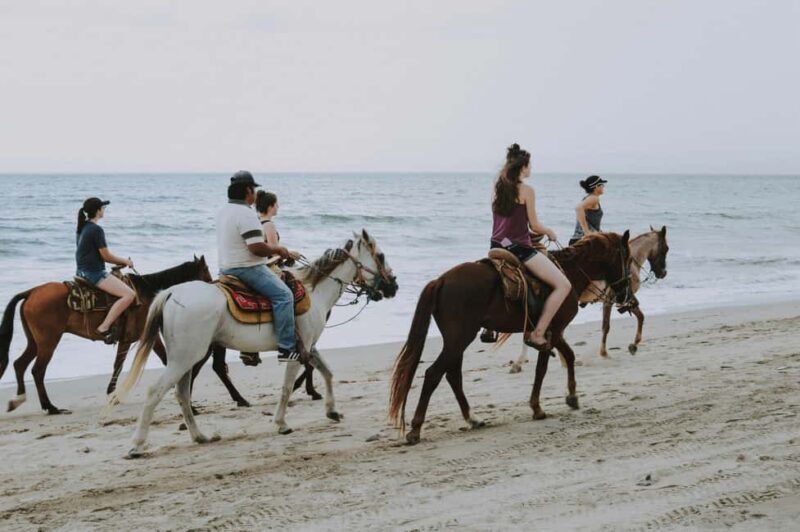 St. Lucia: Horseback Riding on the Beach with Swim - The Ride Itself—A Visual and Sensory Feast