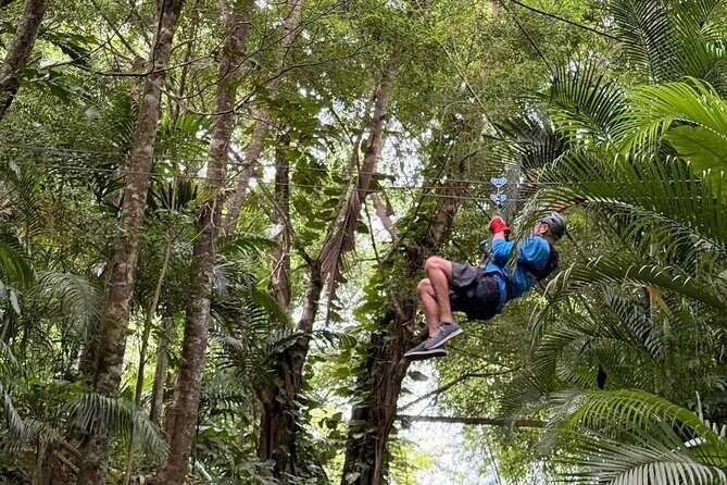 St. Lucia Horseback Riding & Zip Lining Adventure Tour - An Overview of the Adventure