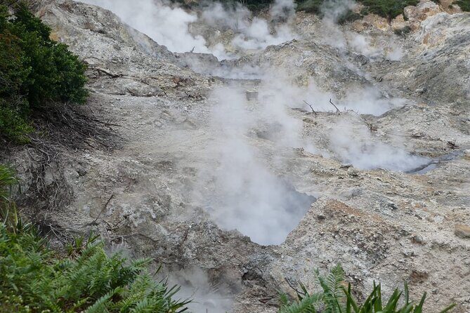 St Lucia Island Excursion Day Tour - Who Would Love This Tour?