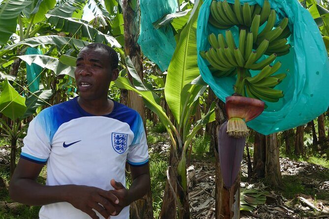 St Lucia Island Excursion Day Tour - Final Thoughts