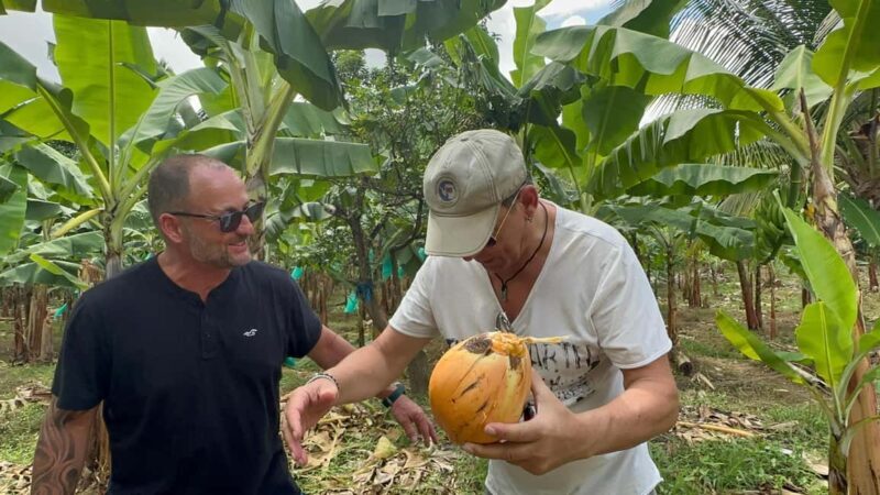 St. Lucia: Marigot Bay and Banana Plantation Tour - Key Points