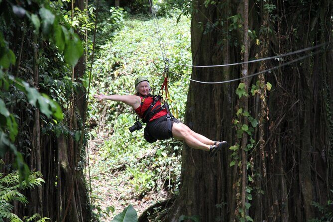 St. Lucia Morne Coubaril Estate Zipline Experience - Pricing and Value