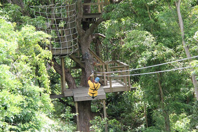 St. Lucia Morne Coubaril Estate Zipline Experience - Who Should Consider This Tour?