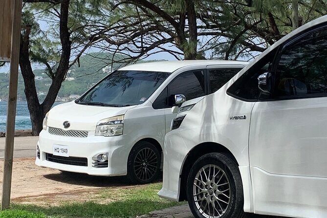 St Lucia Pitons Waterfalls and Mud Bath Experience. - What the Reviews Say