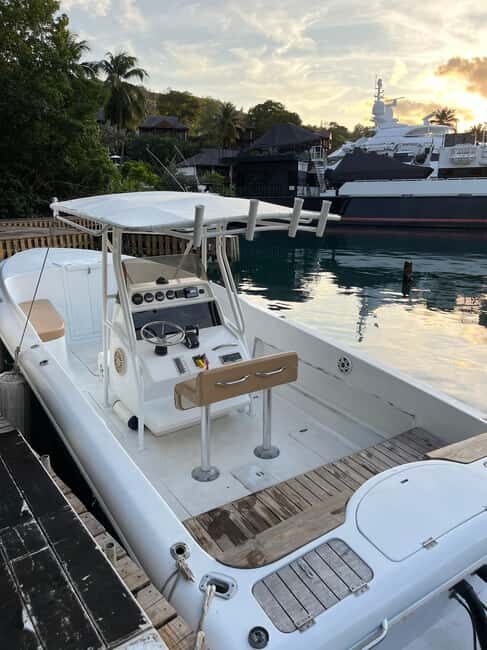 St Lucia: Private Speed Boat Tour from Castries - What Real Travelers Say