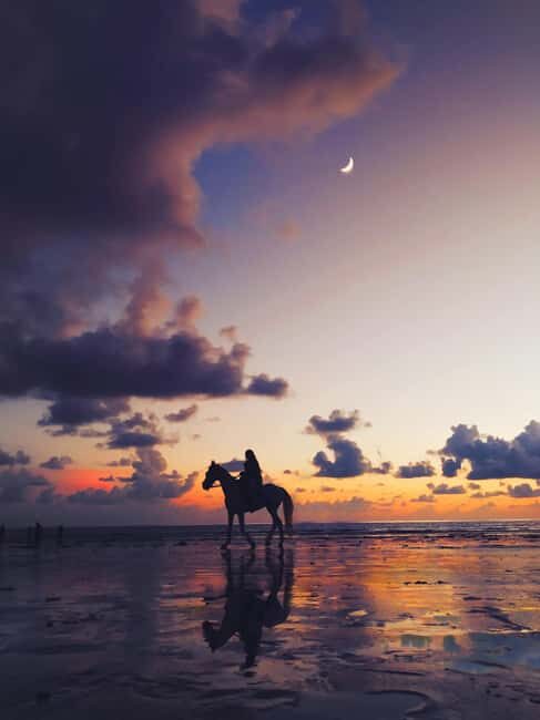 St Lucia: Private Sunset Beach Horse Ride + Pickup available - Navigating the Experience: An In-Depth Look