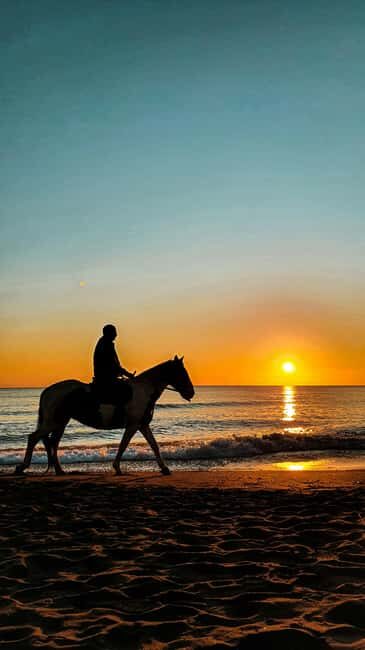 St Lucia: Private Sunset Beach Horse Ride + Pickup available - FAQ