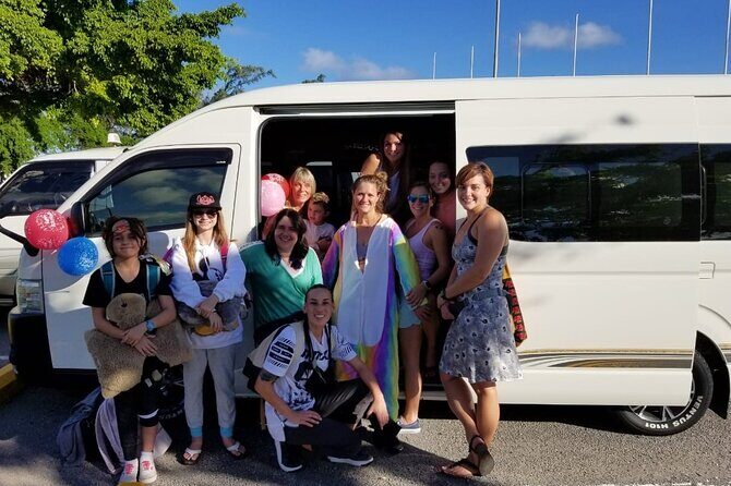 St Lucia Round Trip Transfer from George F L Charles SLU Airport - Introduction