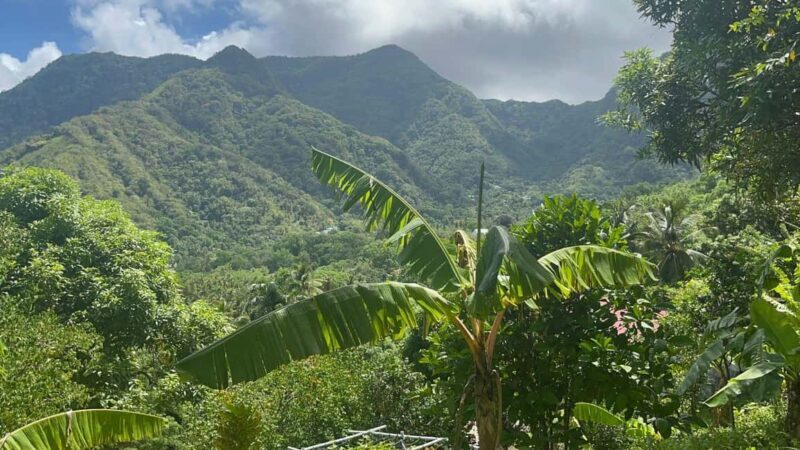 St. Lucia: Safi Estate, Volcano Waterfalls Experience - Why This Tour Is Worth It
