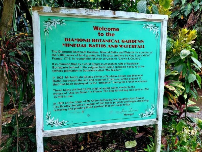 St. Lucia: Scenic Nature Hike & Botanical Garden Escape - What to Expect on the Tour