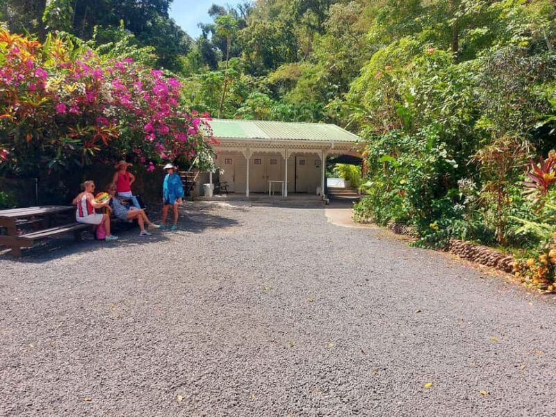 St. Lucia: Scenic Nature Hike & Botanical Garden Escape - Why This Tour Offers Great Value