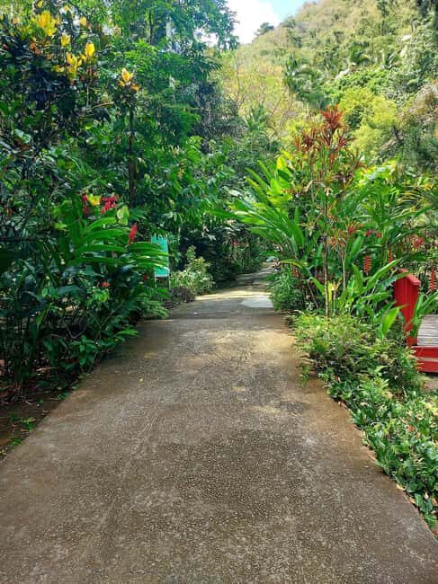 St. Lucia: Scenic Nature Hike & Botanical Garden Escape - Practical Tips
