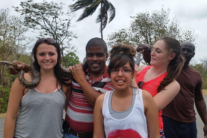 St Lucia Shore Excursion: Land & Sea Tour - Introduction: What’s on Offer?