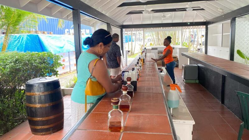 St. Lucia: Sightseeing, Rum tasting, and Shopping Tour - An Overview of the Tour Experience