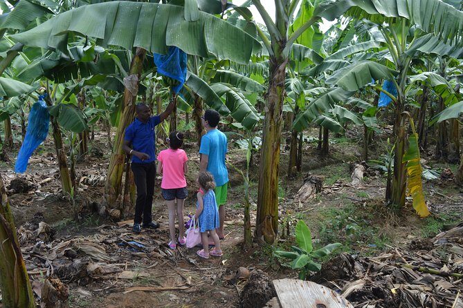 St Lucia Soufriere Natural Attraction - FAQ