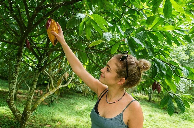 St Lucia Soufriere Private Chocolate Tour - Who Should Take This Tour?