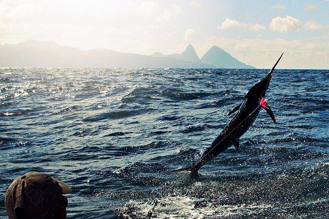 St Lucia Sport Fishing Tour - What to Expect on the Tour
