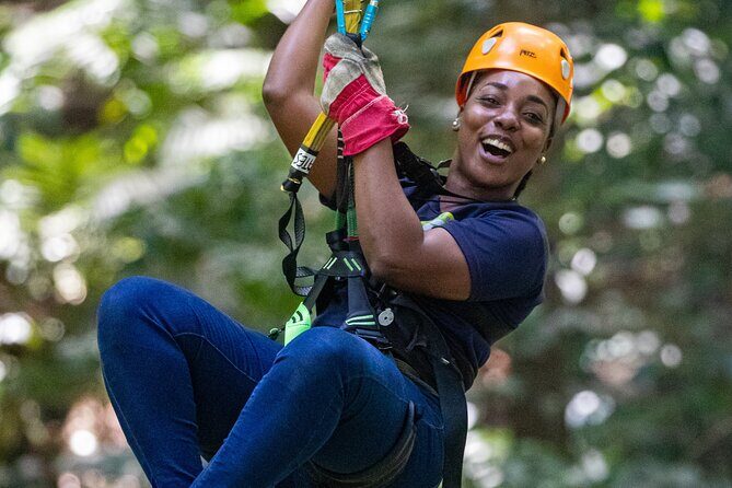 St Lucia Ultimate 3: Aerial Tram, Zipline and Hiking at Rainforest Adventures - Who Should Do This Tour?