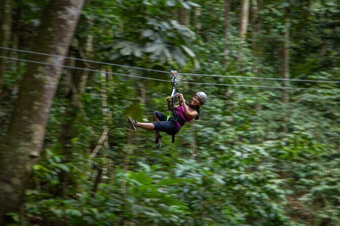 St Lucia Ultimate 3 Package: Aerial Tram, Zipline and Hiking - Who Should Book This Tour?