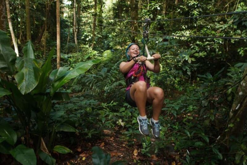 St. Lucia: Zip Line, Aerial Tram, and Hiking Tour - Final Thoughts: Who Is This Tour Best For?