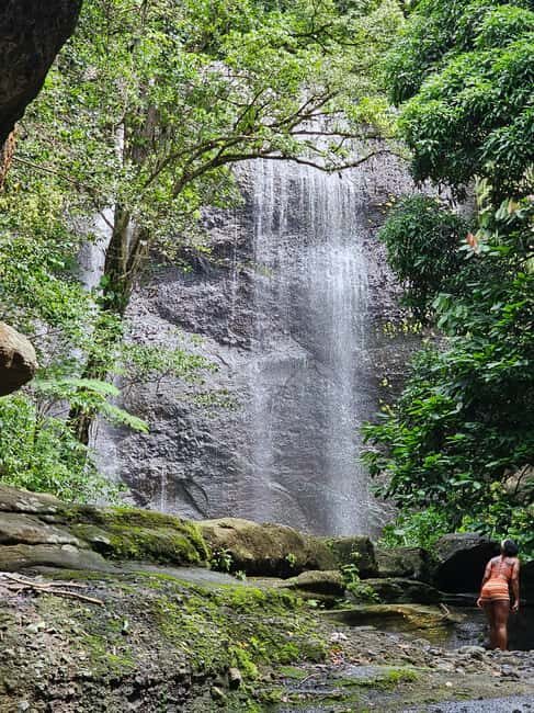 St. Lucia: Zipline Adventure Cruise Port and Hotel Pickup - Key Points