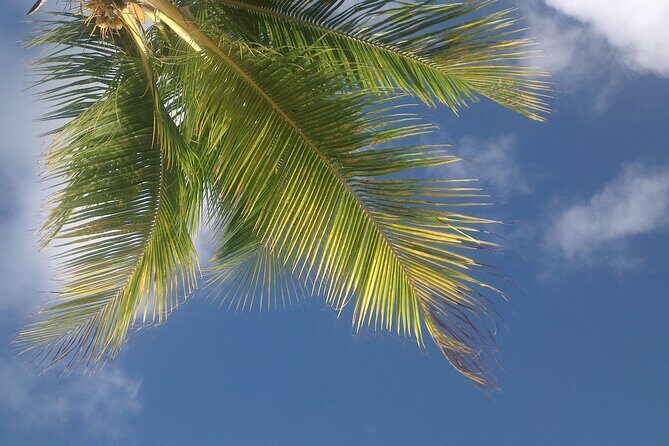 St.Maarten Beach Hopping Tour - The Sum Up: Who Will Love This Tour?