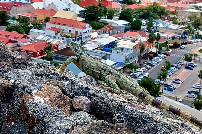 St. Maarten/Saint Martin Island Tour - An In-Depth Look at the St. Maarten/Saint Martin Island Tour