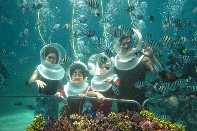 St Maarten SeaTrek and Snorkeling Adventure - The Value and Overall Quality