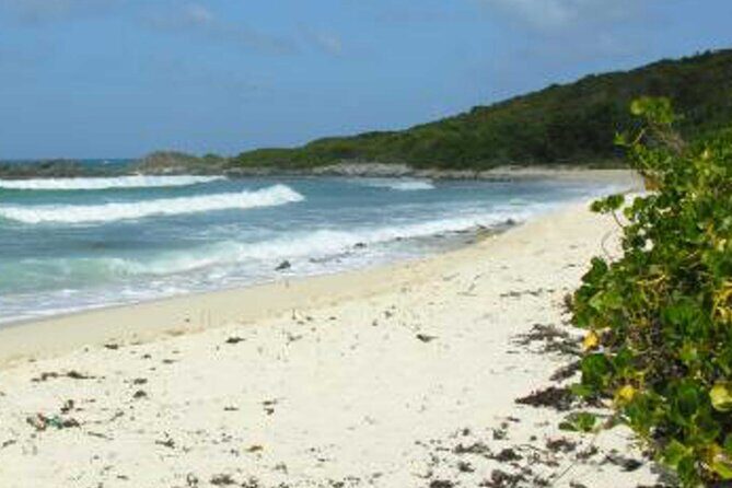 St. Martin or St. Maarten: Nature Hike Secret Beach Tour - Introduction: Is the Secret Beach Tour Worth the Sweat?