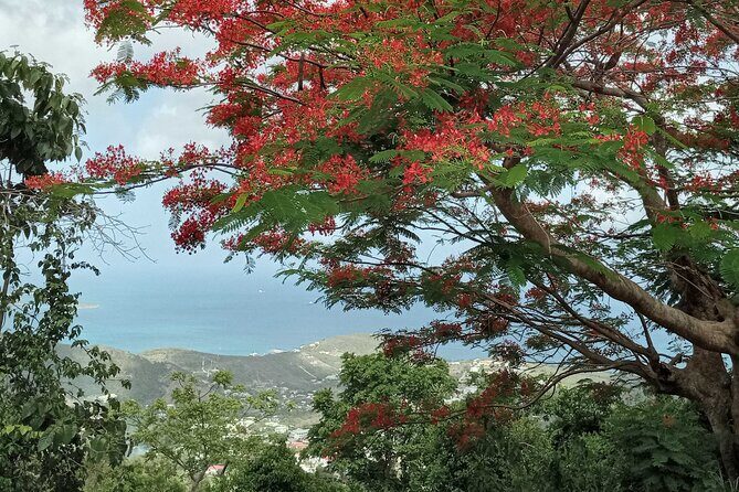 St.Martin - St. Maarten: Small Group, Coastal Hike & Swim Tour - Key Points