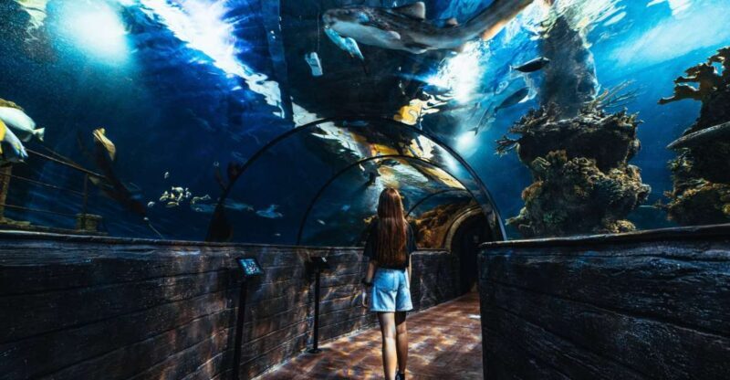 St Paul's Bay: Malta National Aquarium Entry Ticket - Key Points