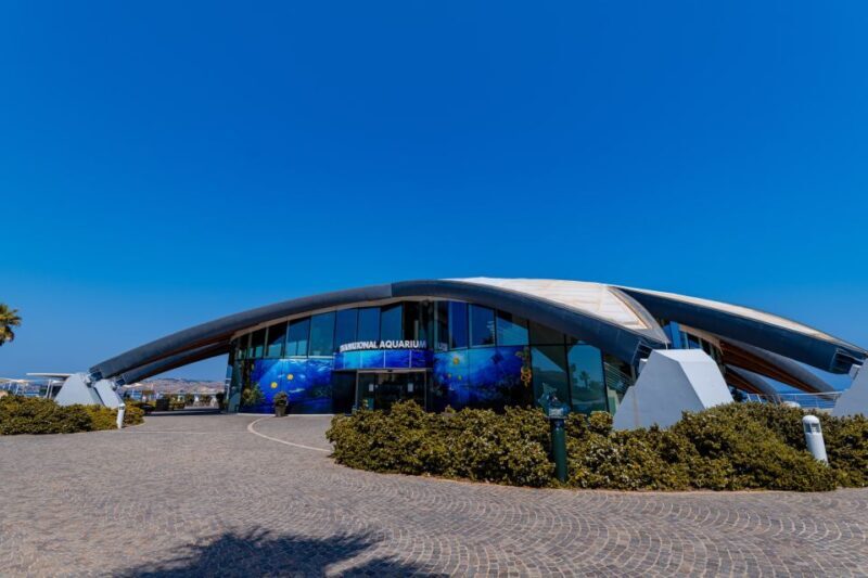 St Paul's Bay: Malta National Aquarium Entry Ticket - Why Visit the Malta National Aquarium?