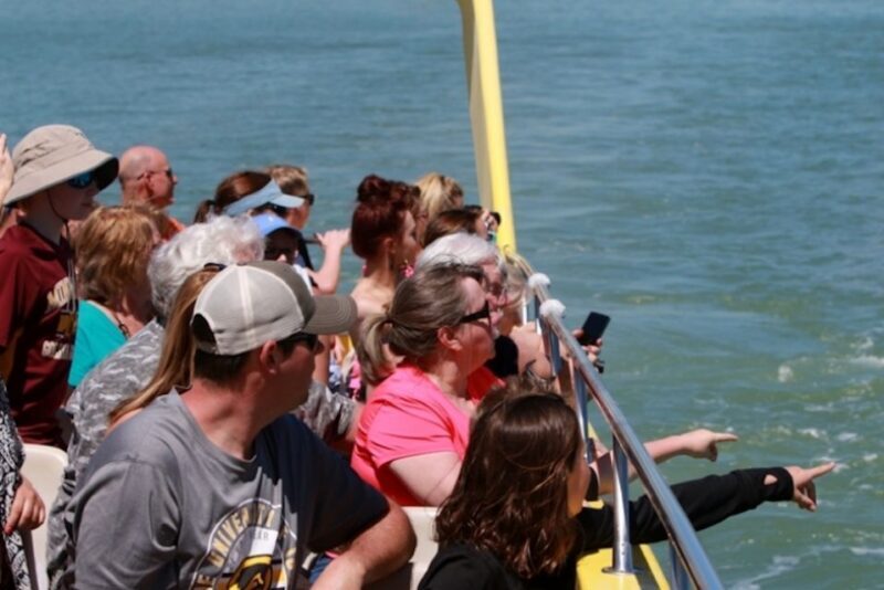St. Pete Beach: Dolphin Racer Cruise by Speedboat - Final Thoughts