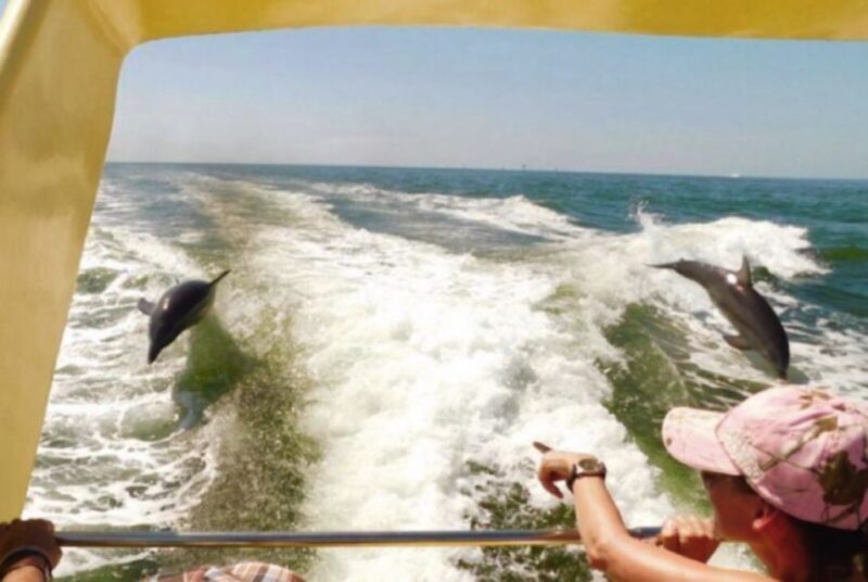 St. Pete Beach: Dolphin Racer Cruise by Speedboat - FAQ