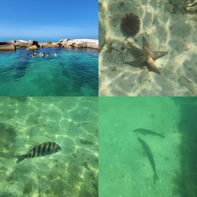 St Pete Beach: Private Boat tour for watersports snorkeling - FAQ