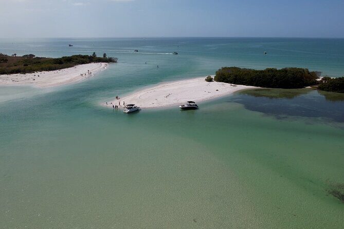 St. Pete Dolphin Watching and Shelling Adventure - A Closer Look at the Itinerary