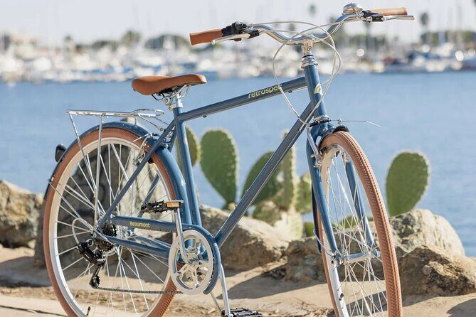 St Pete E-Bike Rentals - Reviews from Riders