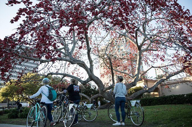 St Pete Ebike Tour with Lunch - FAQ
