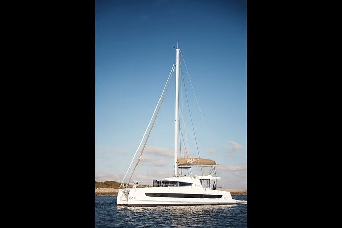 St Pete Private Half Day Bali Catamaran Charter - Who Will Enjoy This Tour?