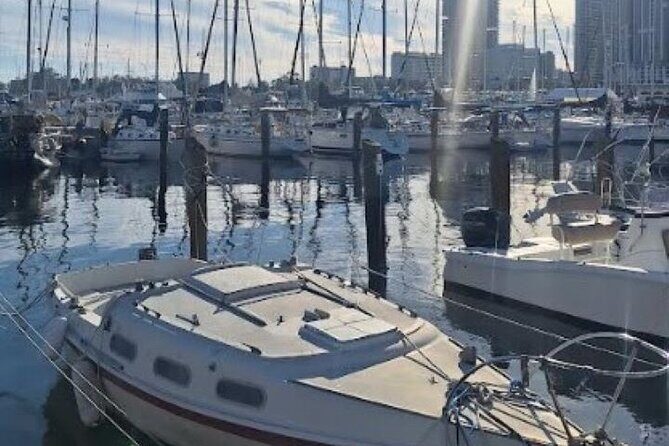 St Pete Sip & Dine- a Walking/Culinary Tour (age 21+) - What to Expect from the Walk & Taste Adventure