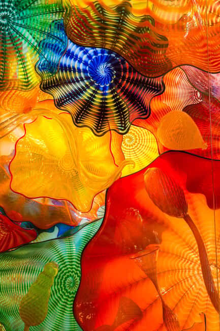 St. Petersburg: Chihuly Collection Admission Ticket - The Basics: What to Expect When Visiting