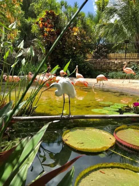 St. Petersburg: Eco Segway Tour with Sunken Gardens - Experience Quality & Value