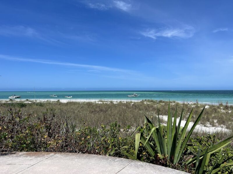 St. Petersburg, FL: 4-Hour Catamaran Cruise to Egmont Key - What Travelers Are Saying