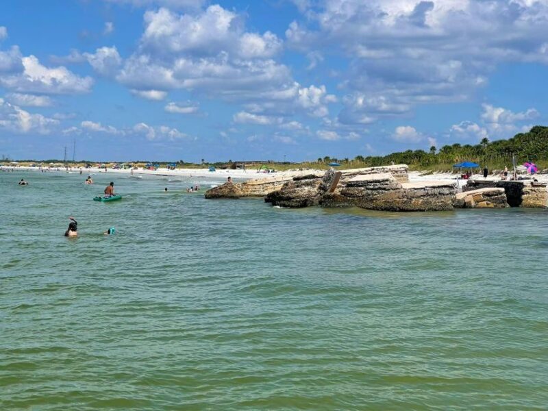 St. Petersburg, FL: 4-Hour Private Beach Tour - Practical Details and Value