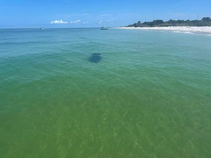 St. Petersburg, FL: Private 5-Hour Egmont Key Boat Tour - Final Thoughts