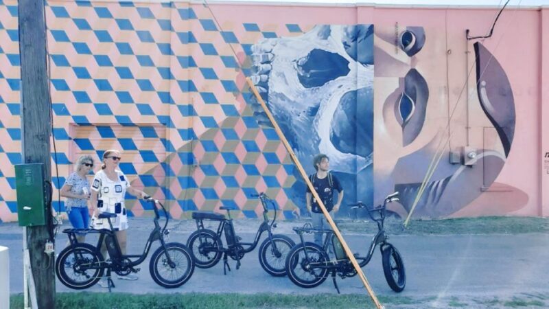 St. Petersburg, FL: Sightseeing & Murals Electric Bike Tour - FAQ