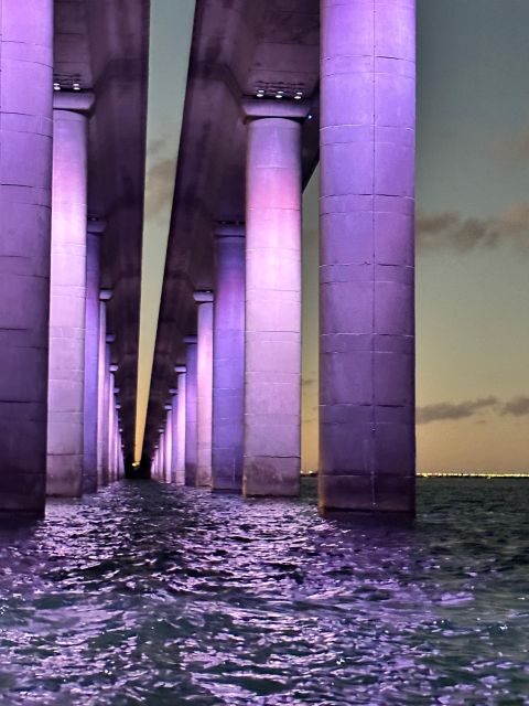 St. Petersburg, FL: Sunset & Skyway Bridge Lights Tour - The Experience: What You Can Expect from the Tour