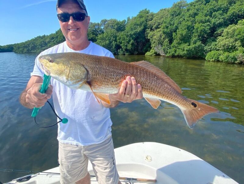 St. Petersburg, FL: Tampa Bay Private Inshore Fishing Trip - Final Thoughts