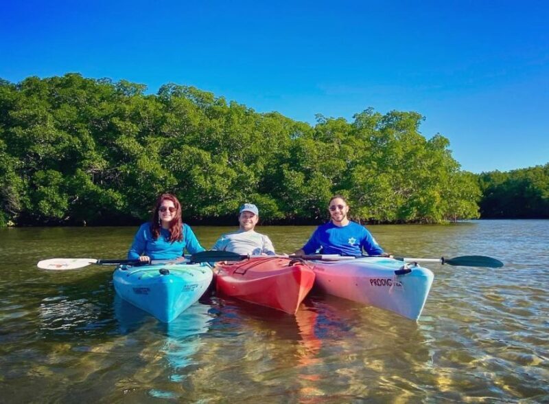 St. Petersburg, FL: Weedon Island Kayak Tour - The Experience: What Youll Actually Do